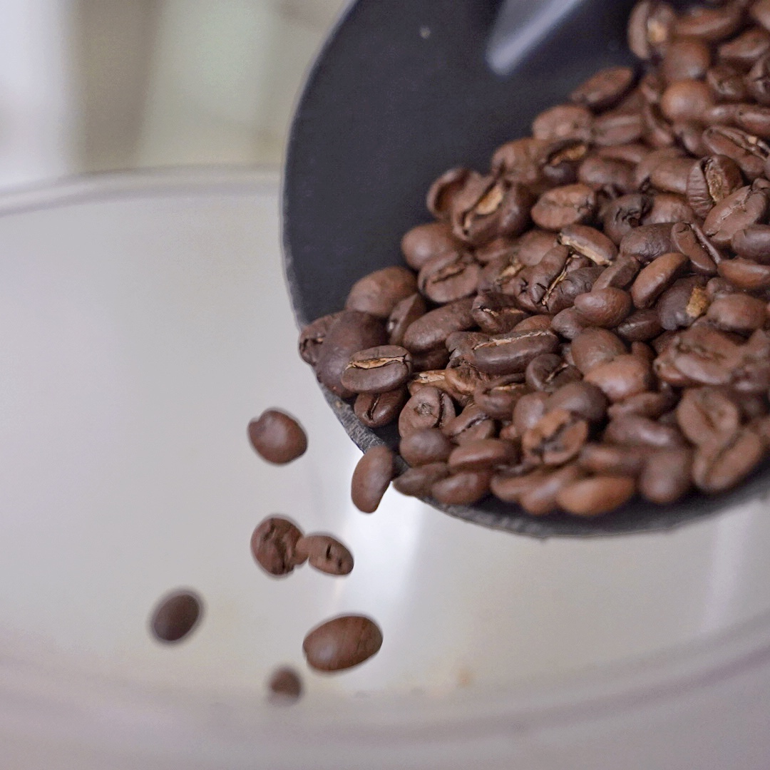 Ghostbird Coffee Co | Coffee Whole Bean