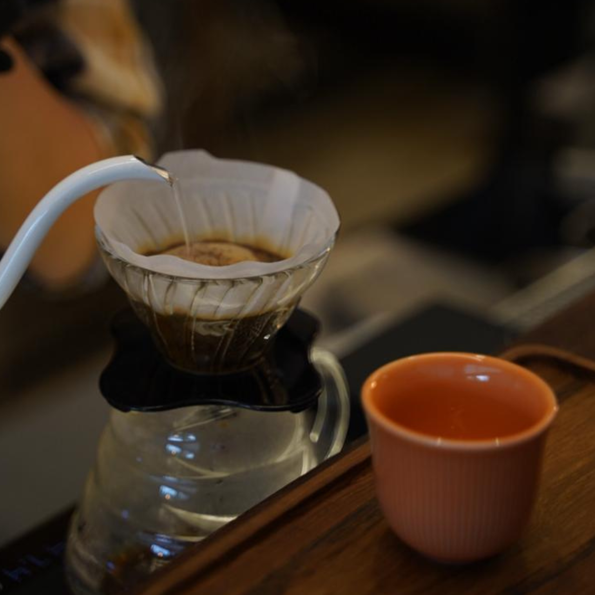 3 X 100 Filter Taster Pack – Ghostbird Coffee Co