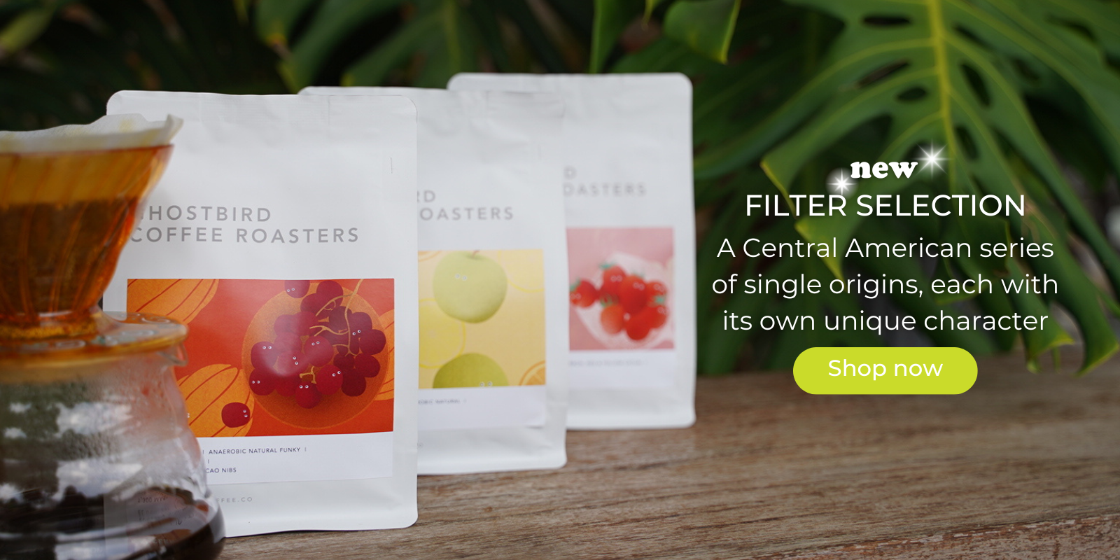 Specialty Coffee Roaster | Wholesale — KL, Malaysia – Ghostbird Coffee Co