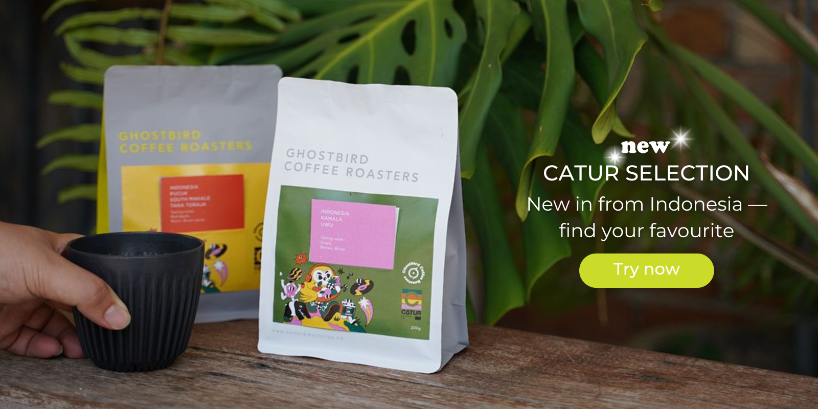 Specialty Coffee Roaster | Wholesale — KL, Malaysia – Ghostbird Coffee Co