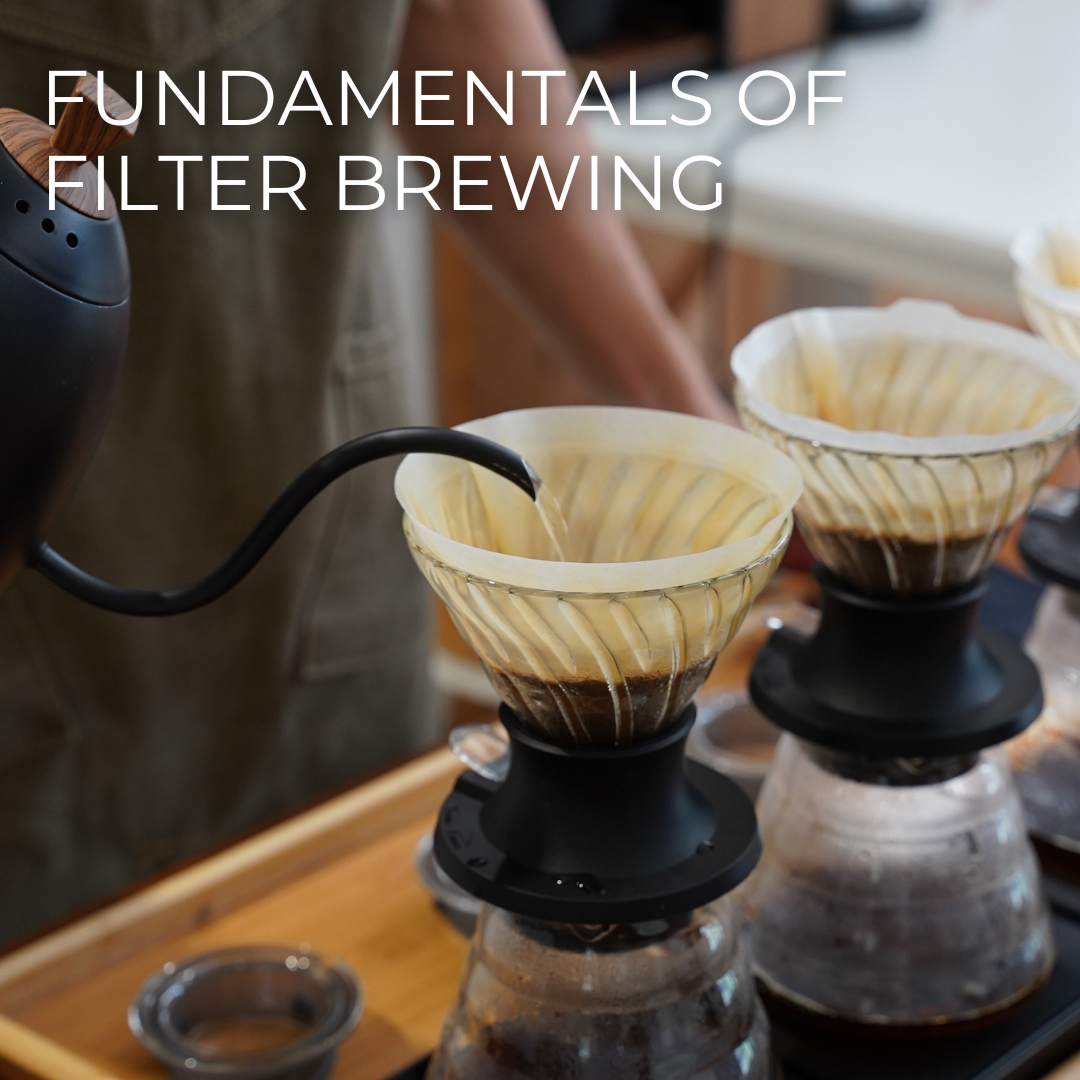 Fundamentals of Filter Brewing – Ghostbird Coffee Co