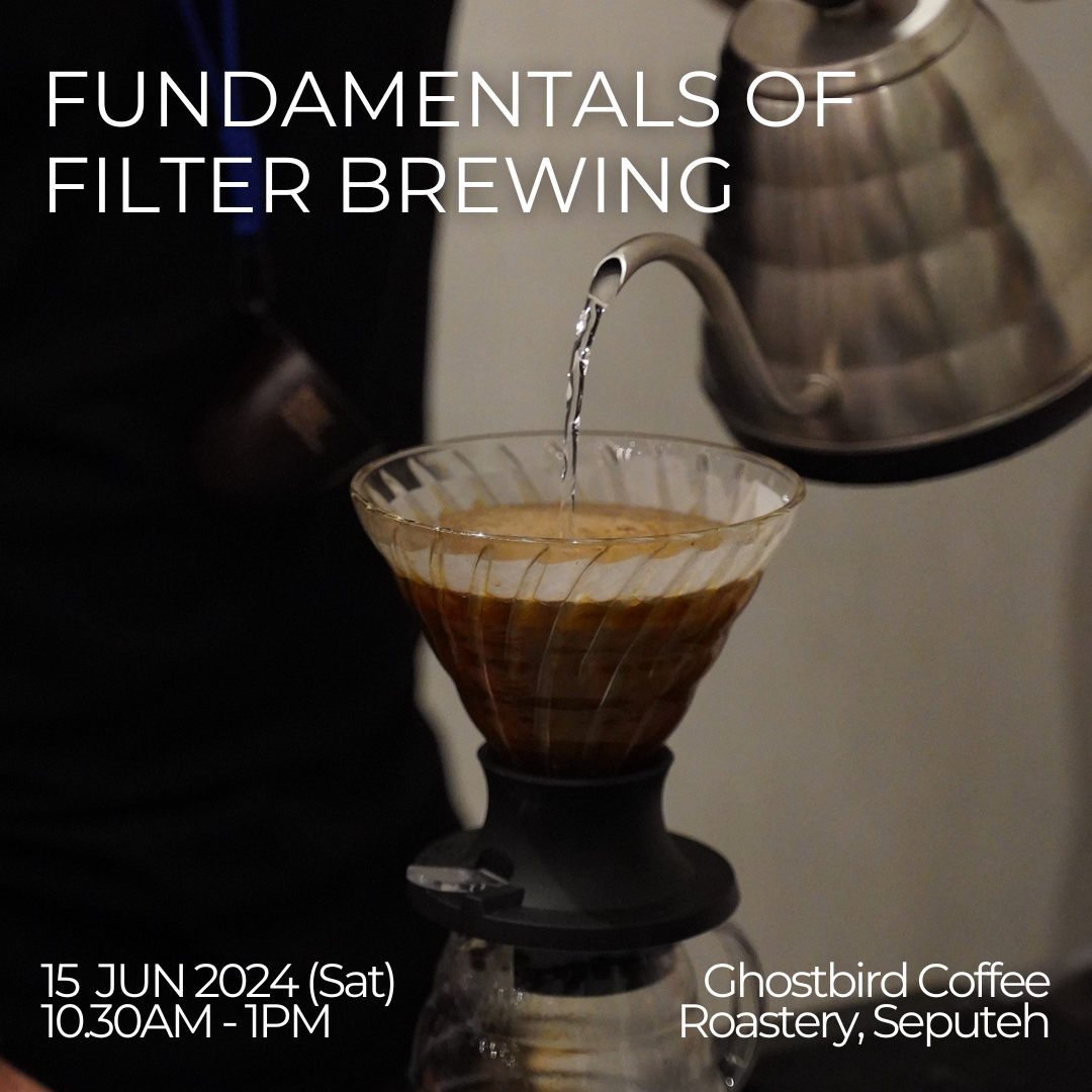 Fundamentals of Filter Brewing – Ghostbird Coffee Co