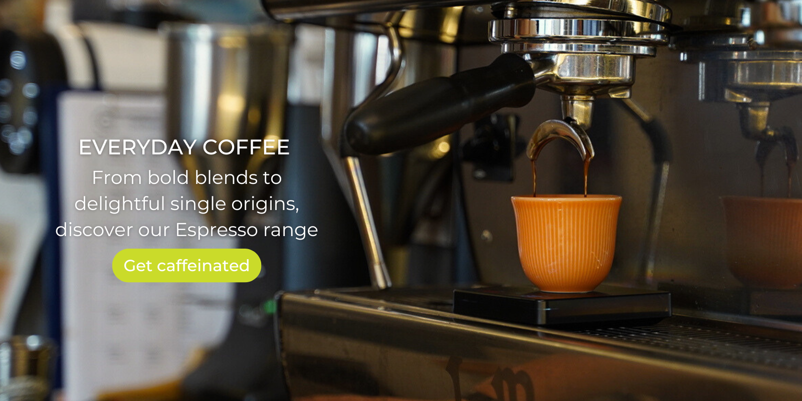 Specialty Coffee Roaster | Wholesale — KL, Malaysia – Ghostbird Coffee Co