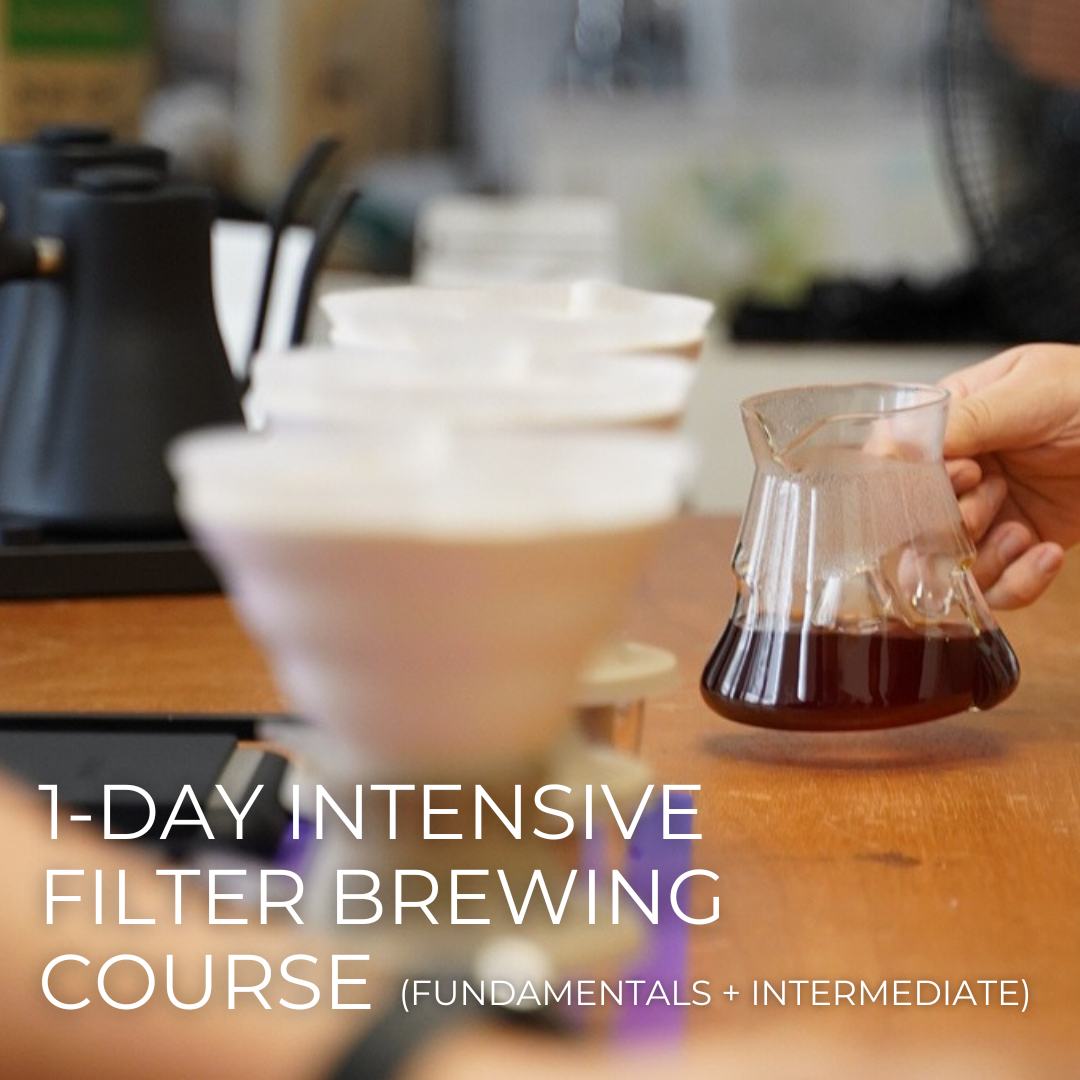 1-Day Intensive Filter Brewing Course (+ FREE coffee bean subscription ...