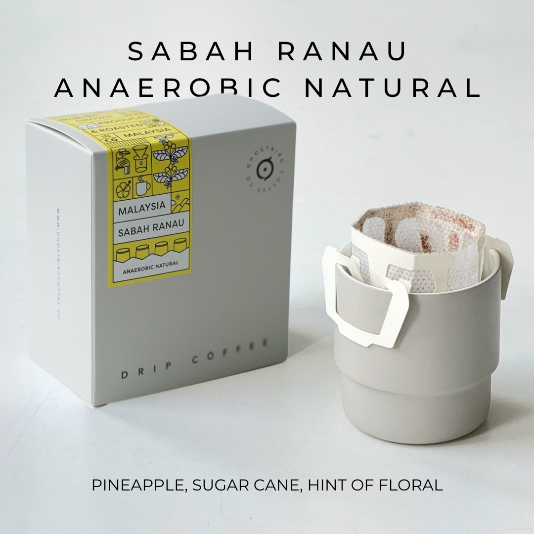 Owlsome Drip Bag Coffee - Sabah Ranau Anaerobic Natural – Ghostbird ...