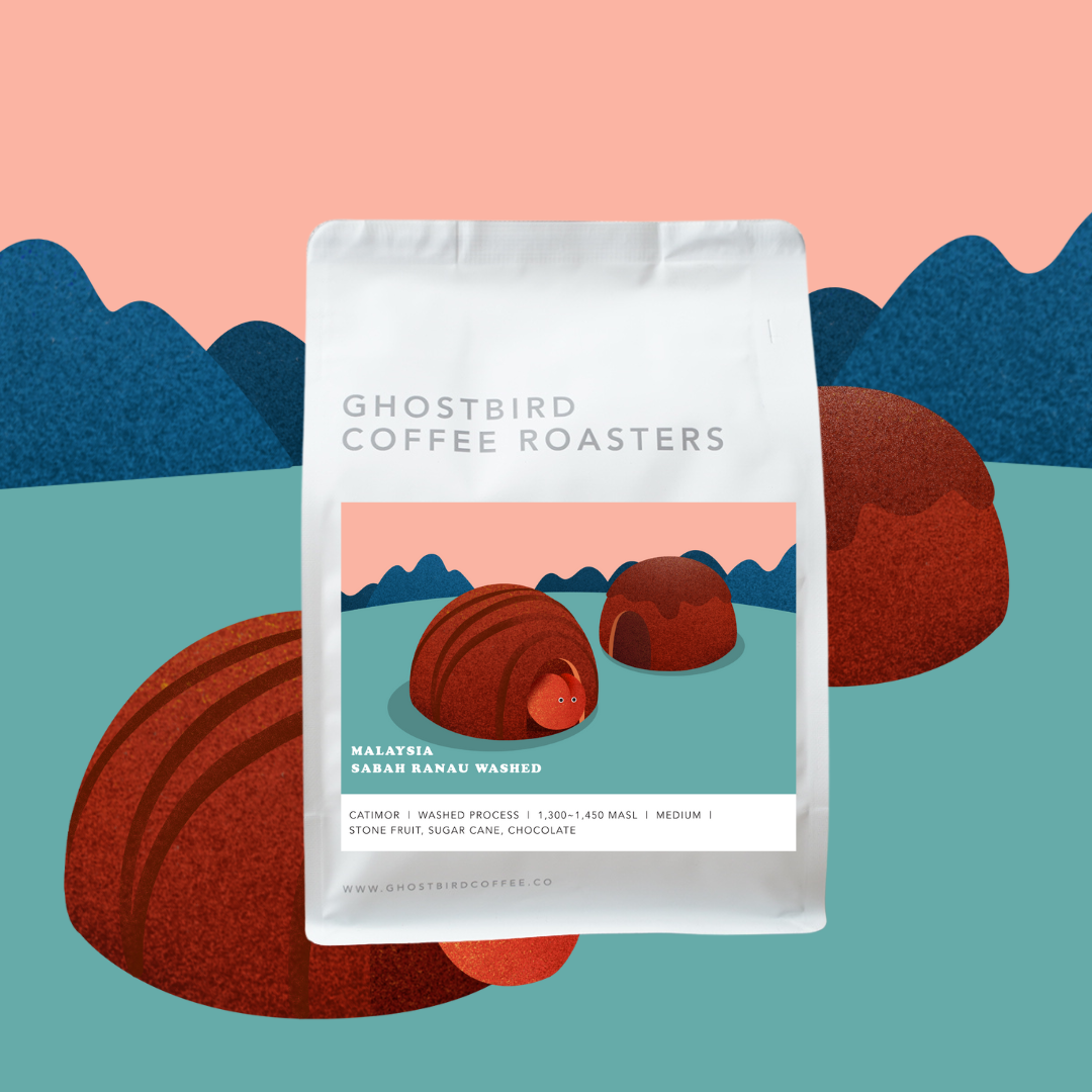 2 x 200g Filter Bundle – Ghostbird Coffee Co